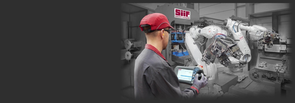 The Company - SIIF - EN